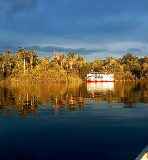 Amazon Tours Brazil - Tours In the Amazon tours in Manaus Amazon Brazil